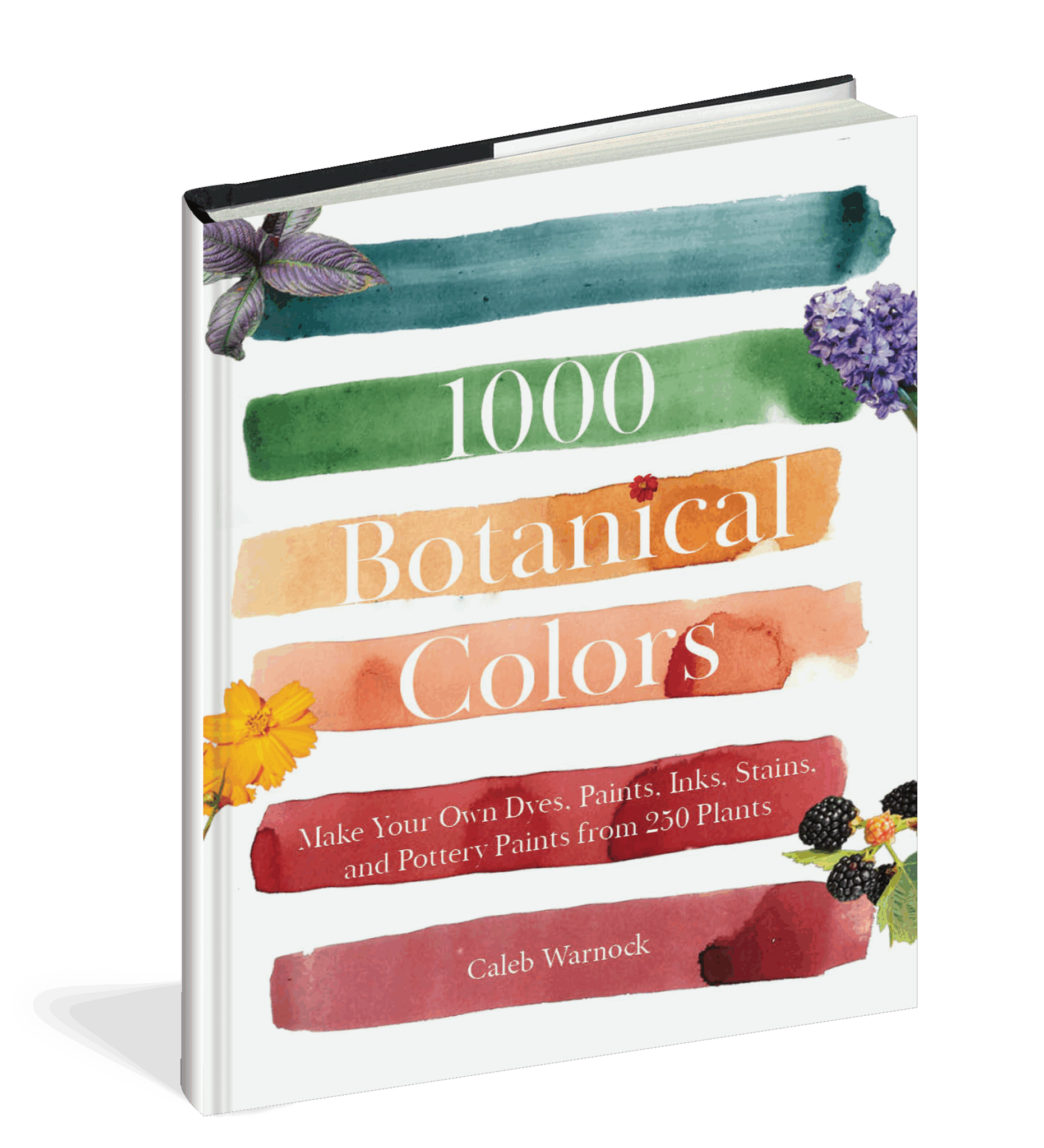 5 Botanical Secrets for Making Natural Plant Dyes, Paints, and Inks ...